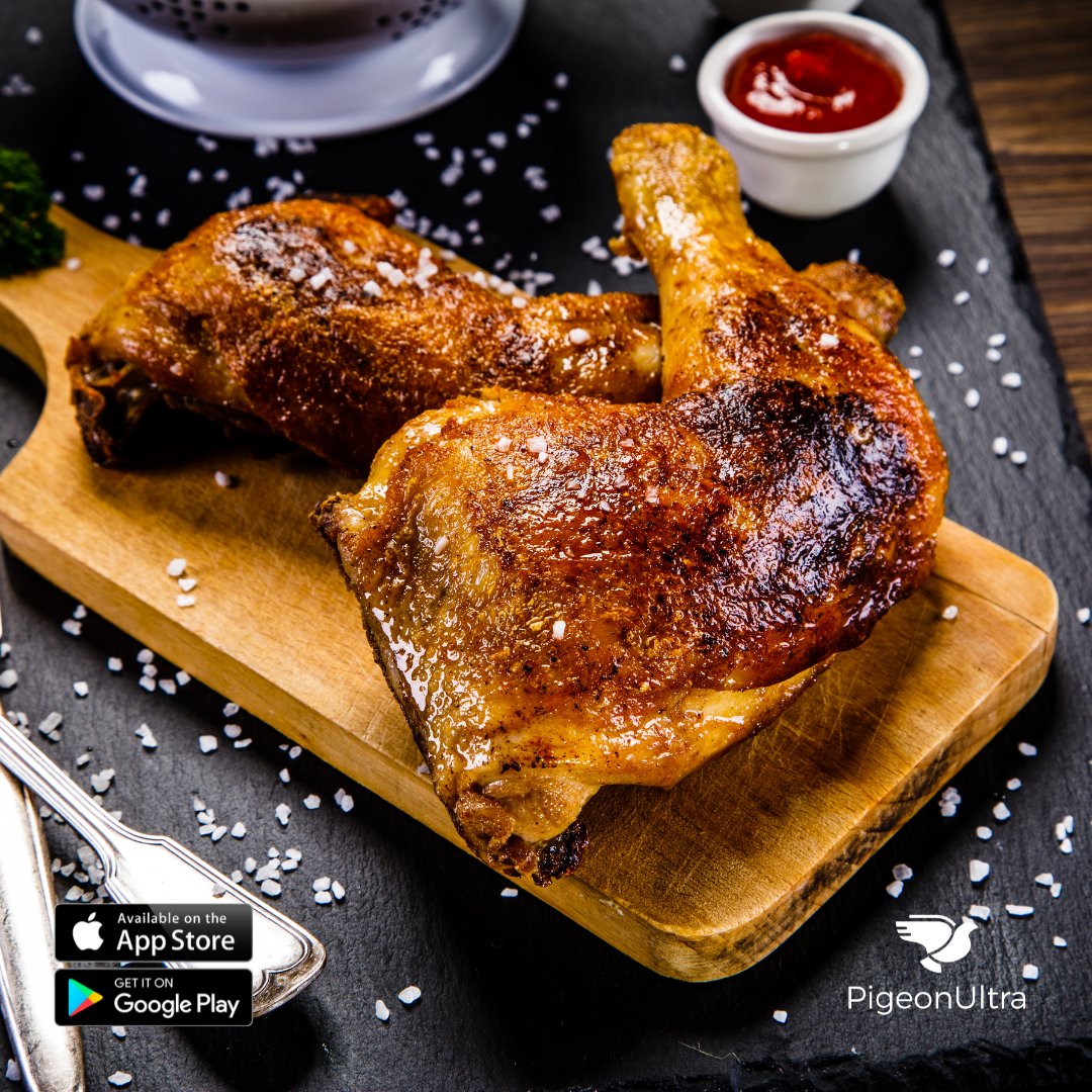 Ultra-Experience With Pigeon Delivery - Justica Anima